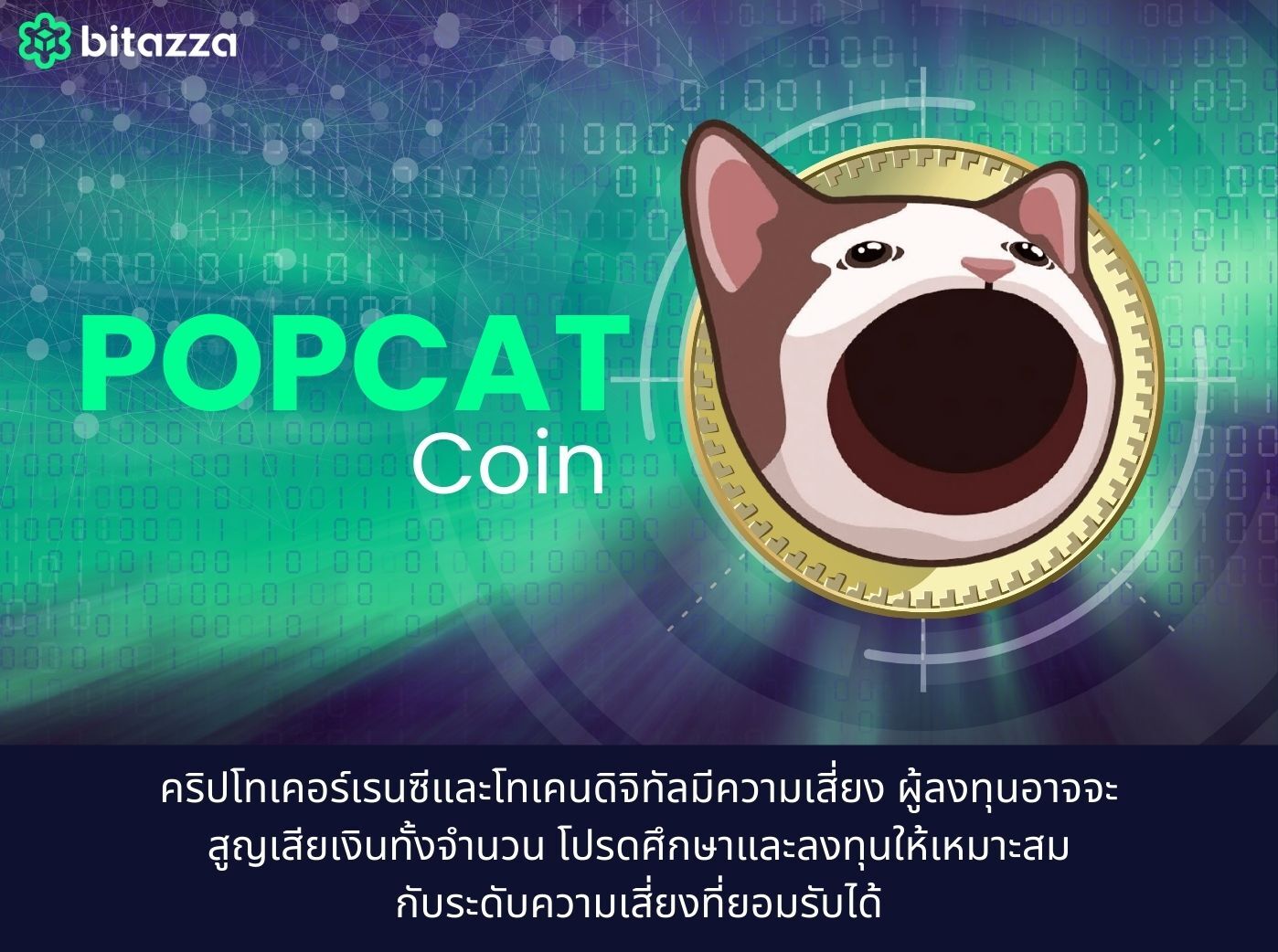 เหรียญ Popcat Coin คืออะไร? มาจากมีมดังยังไง